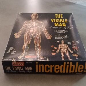 Renewal | Other | Vintage The Visible Man Science Anatomy Project ...